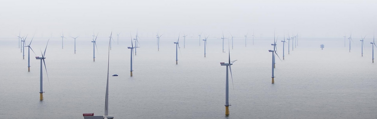 Familie Colruyt stapt in Zweedse 'groene' software ontwikkelaar - De ...